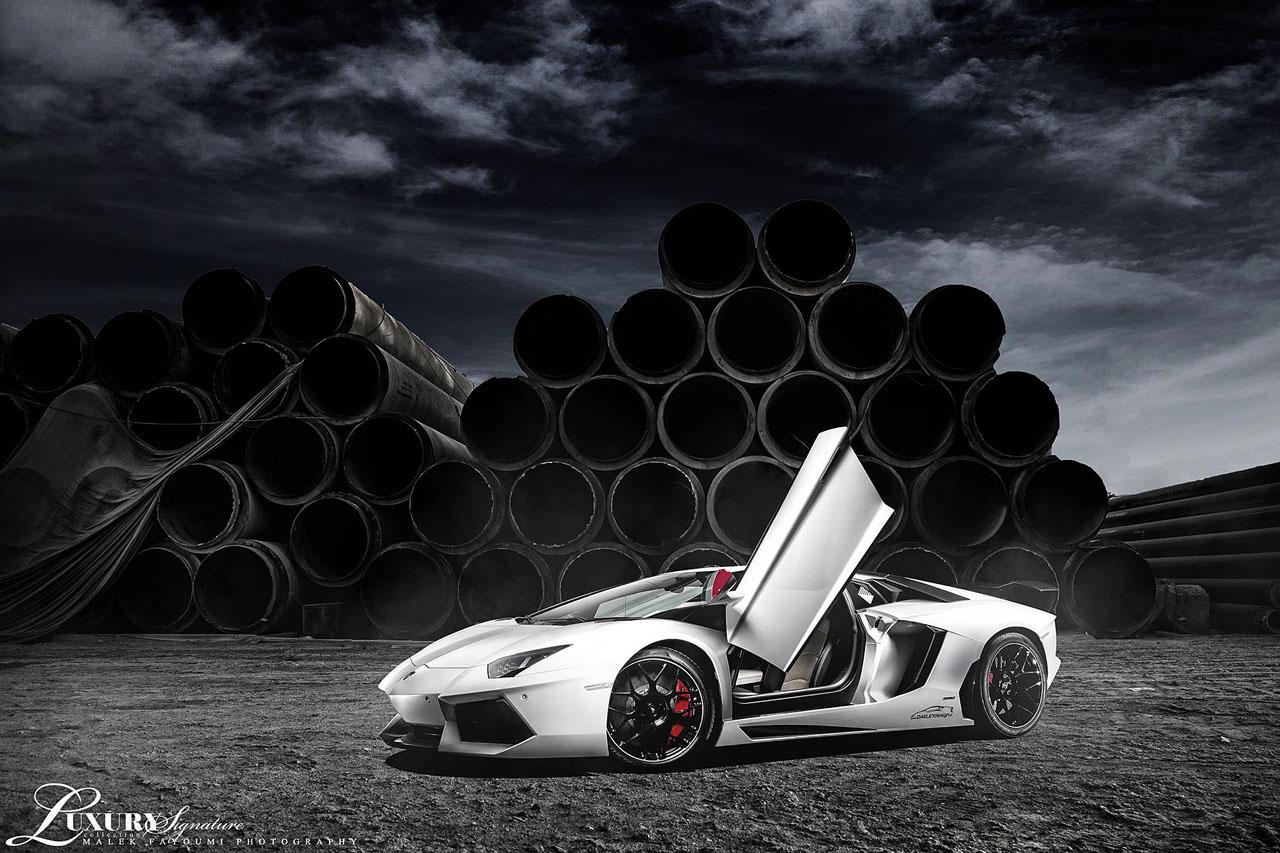 Lamborghini Aventador Dragon Edition Drawings