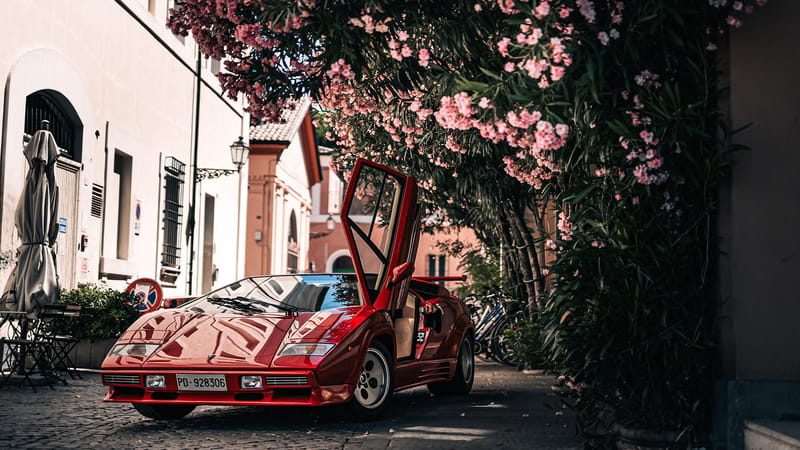 Cars With Scissor Doors - Unique Door Designs of Lamborghini Cars ...